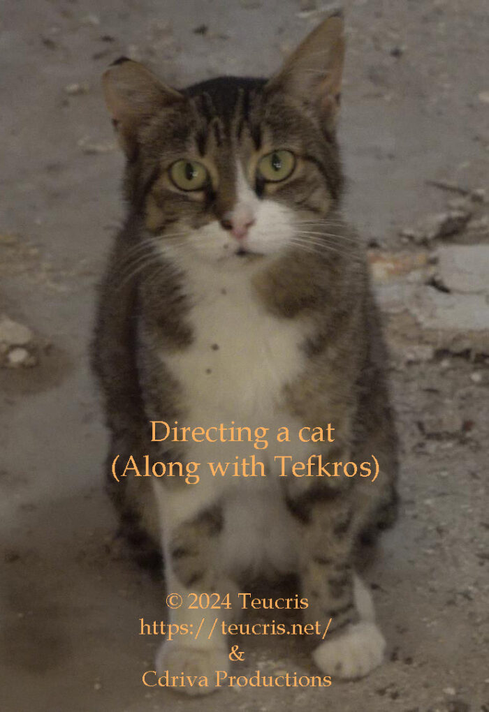 Teucris – Τεύκρος Σακελλαρόπουλος – Conceptual Cinematography